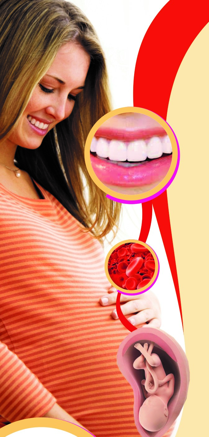 Pregnancy & Dentistry | #1 Dental Clinic in Coimbatore - Tooth Town